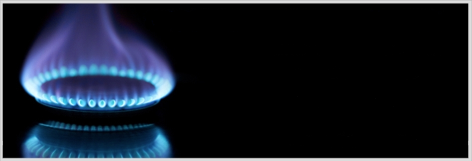 Order and pay for your gas ONLINE or via EFT – The LpGas Man